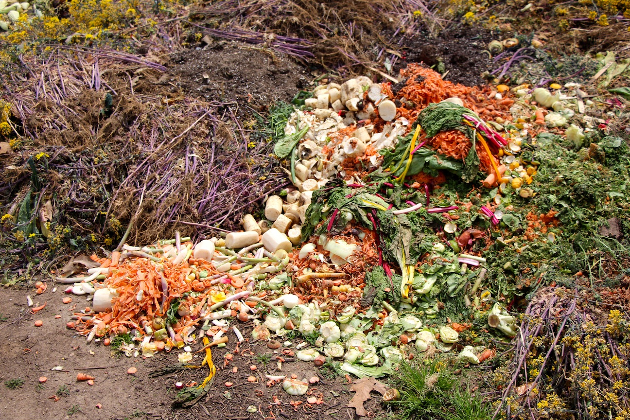 Compost Collage | dianatung